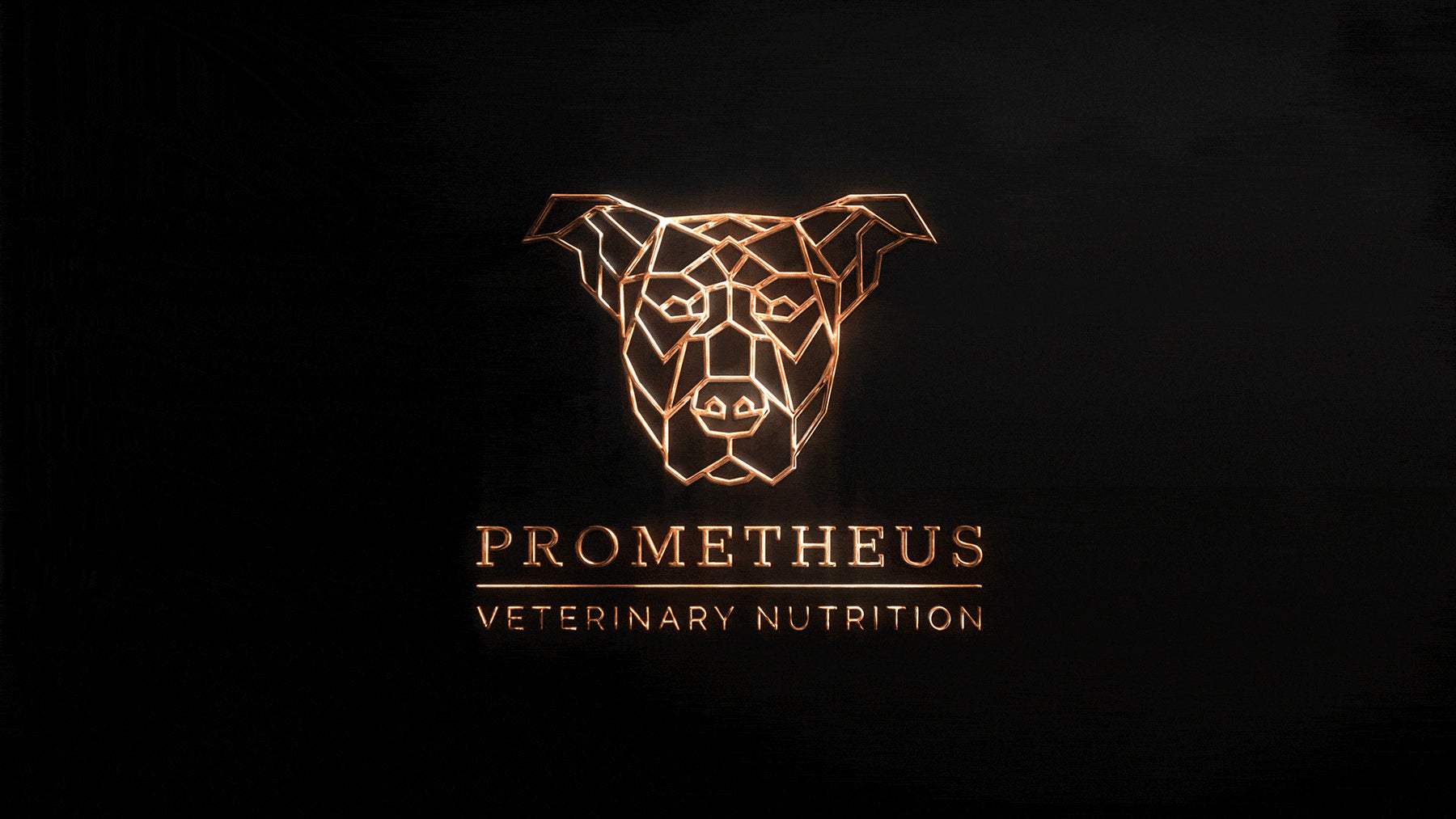 BLOG Smile&Paws - SmileAndPaws